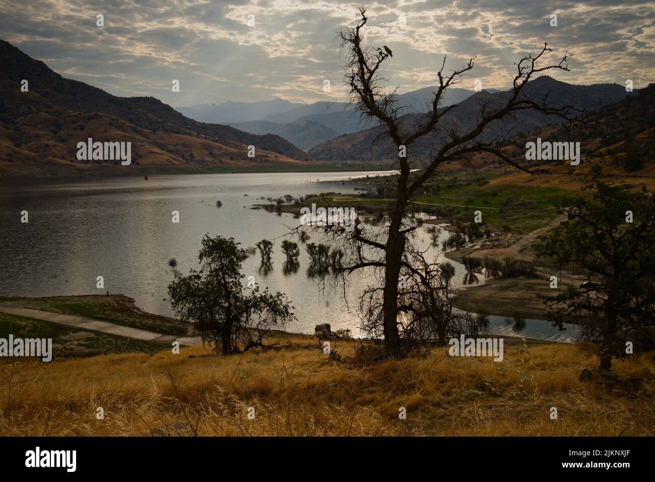 Wilsdlife hi-res stock photography and images - Alamy