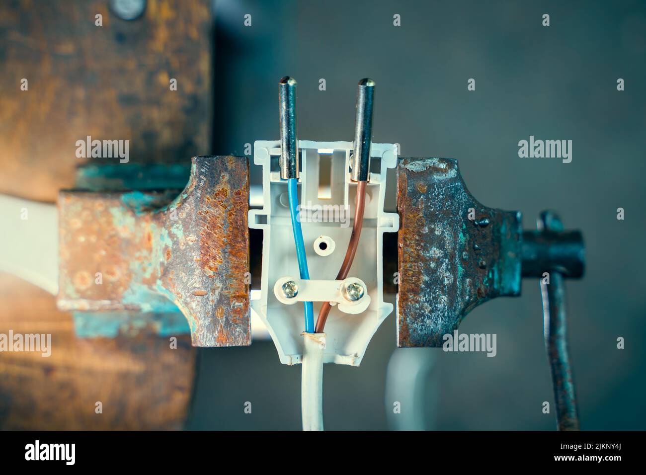 Electrical appliance plug in a section with the insides close-up in an ...