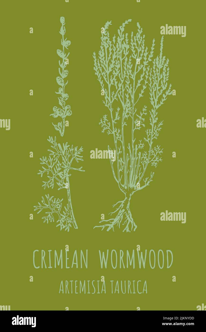 Crimean medical Stock Vector Images - Alamy