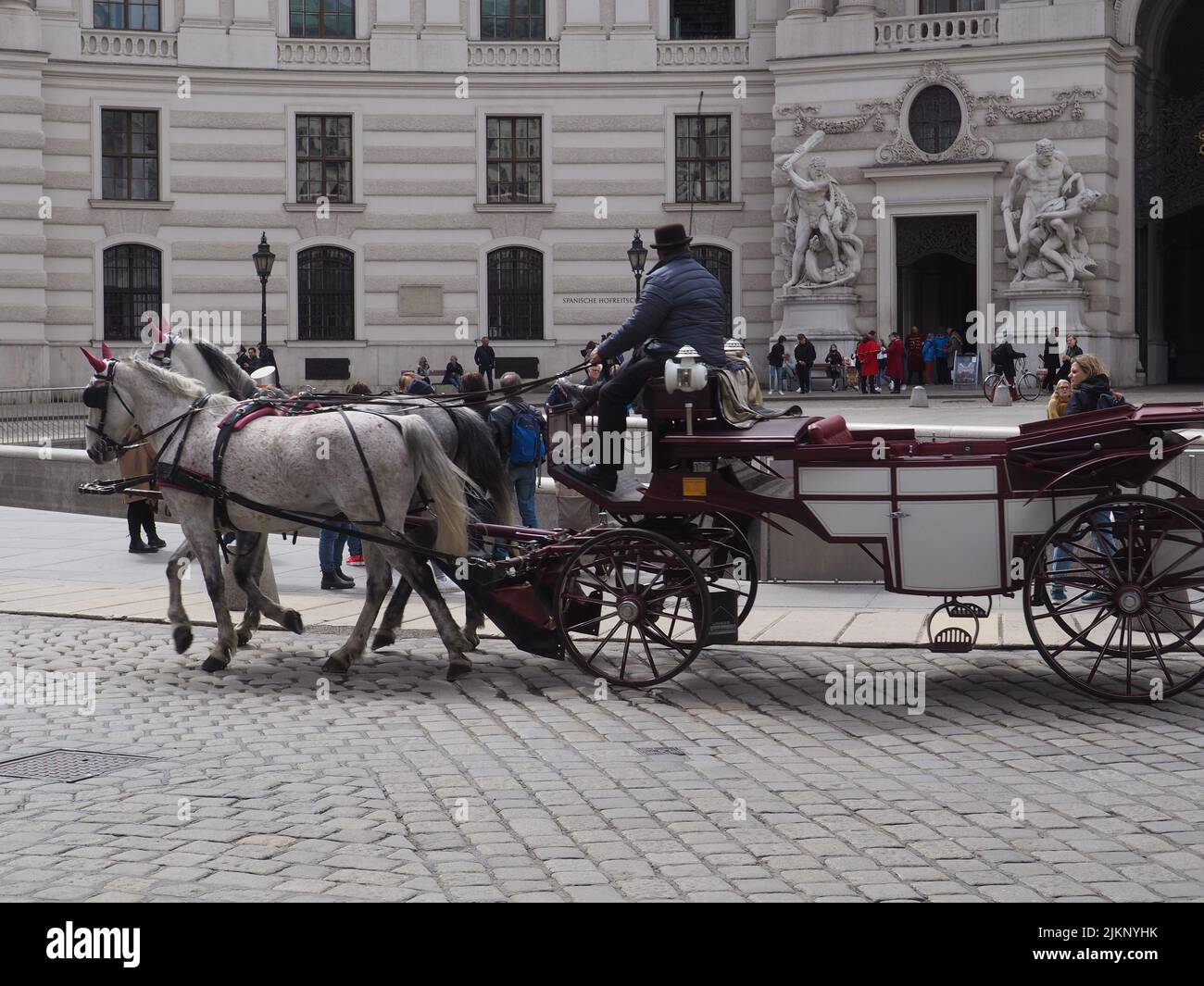 Fiaker carrying tourist trough the streets of vienna Stock Photo - Alamy