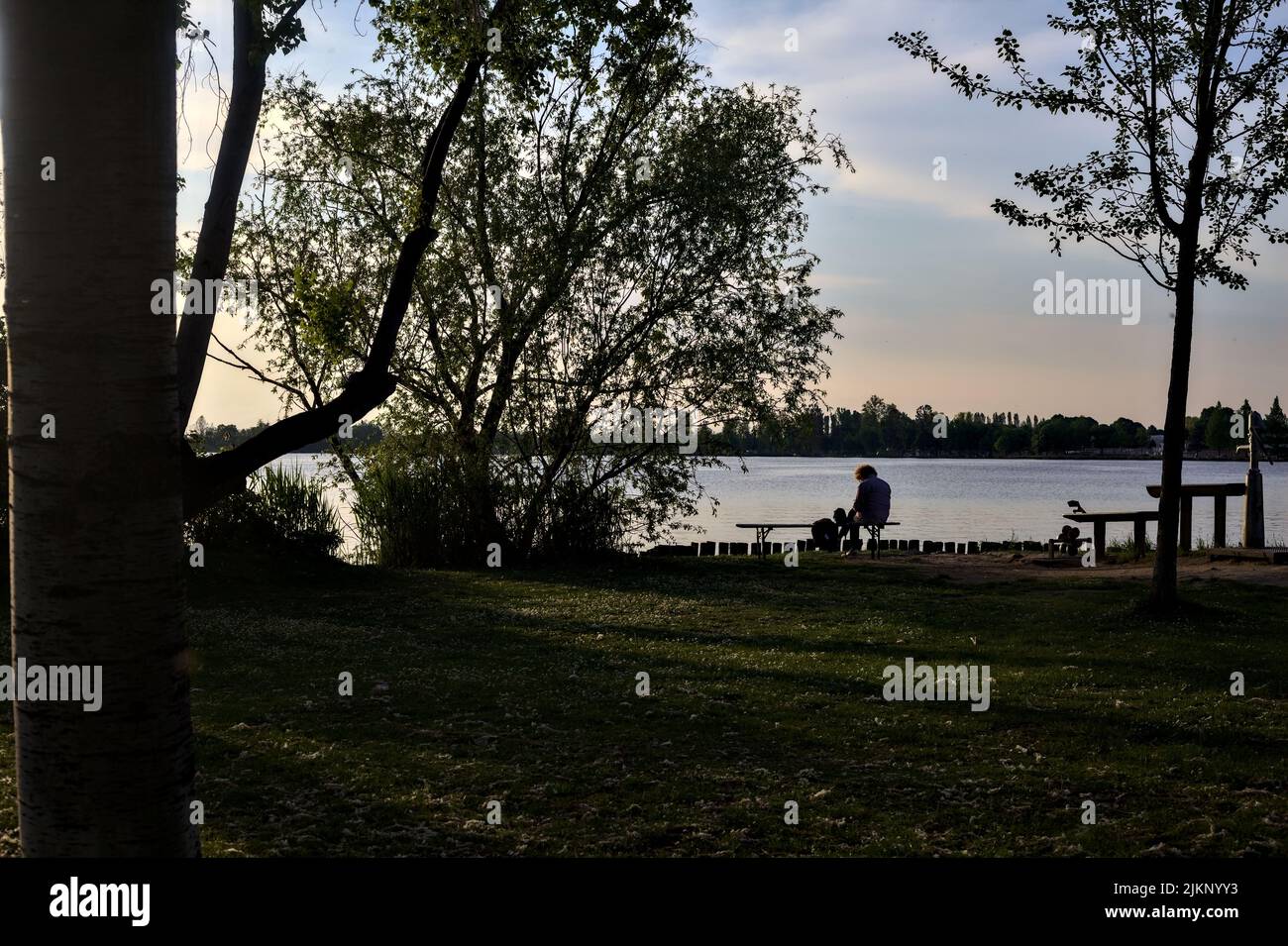 Man sitting alone on a bench by the lakeshore in a park at sunset Stock ...