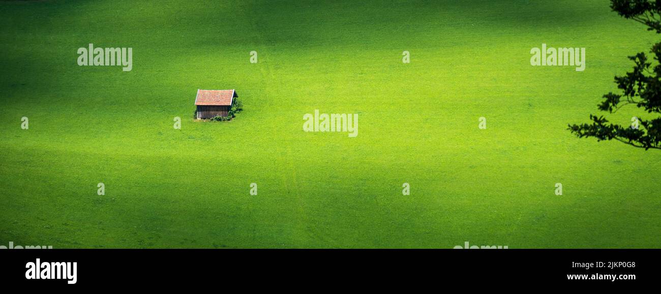 A panoramic view of a green field with a single hut in the middle Stock ...