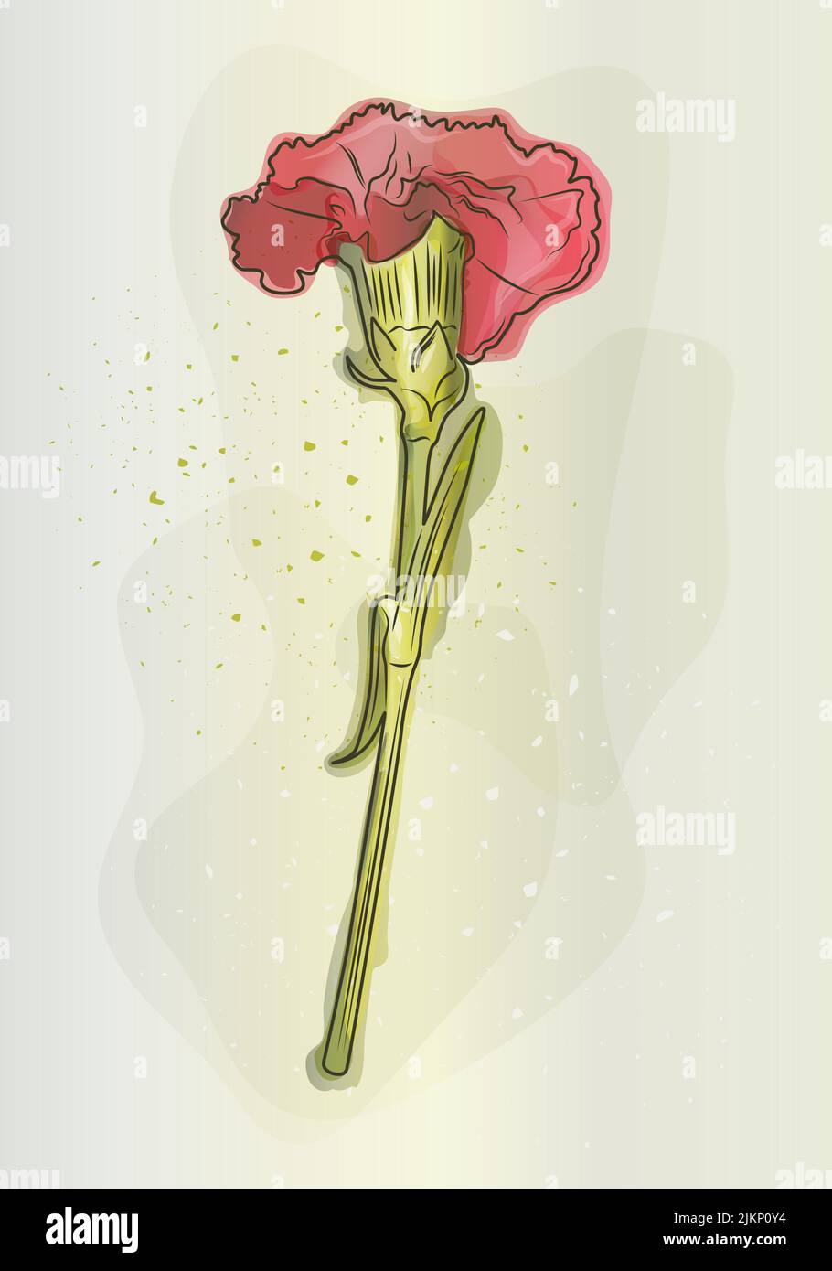 Beautiful carnation in flower Stock Vector Images - Alamy