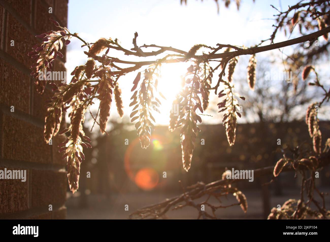 Tech campus hi-res stock photography and images - Alamy