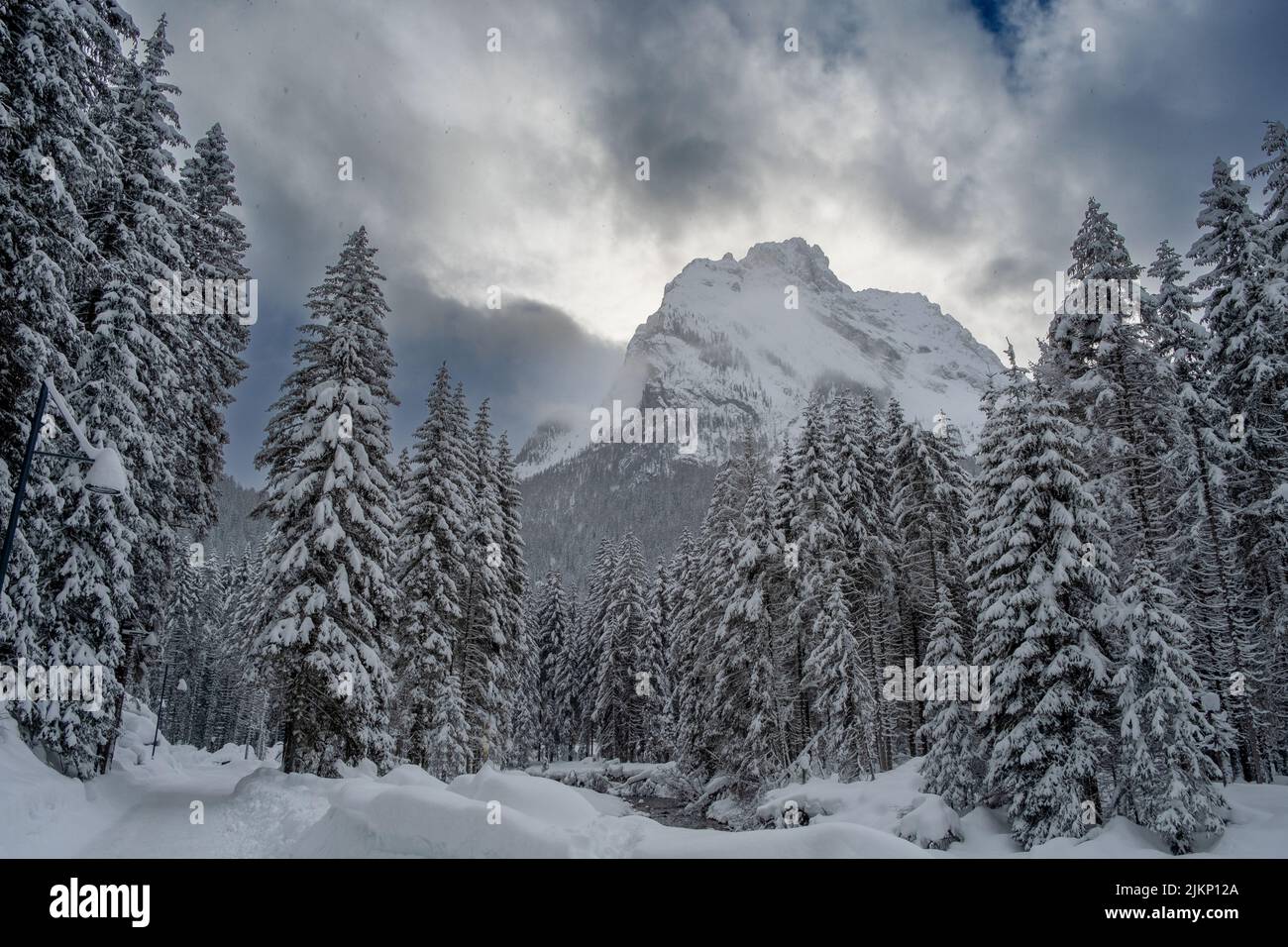 A winter landscape view with snow-covered mountain peaks and fir trees Stock Photo - Alamy
