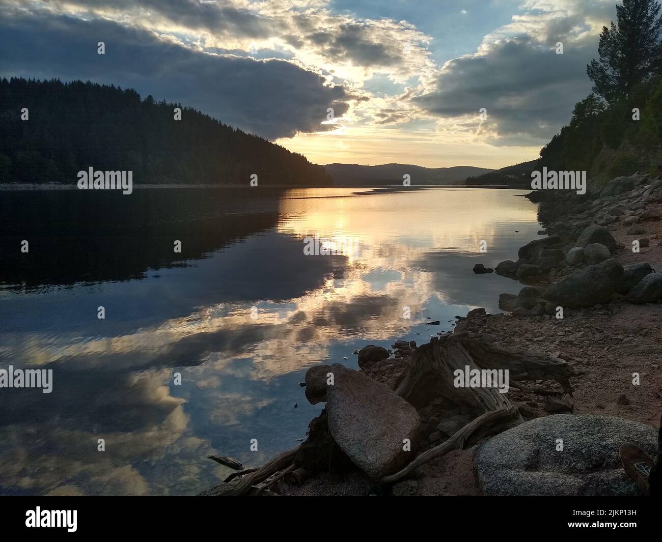 A breathtaking shot of a wide river flowing through the forest during ...