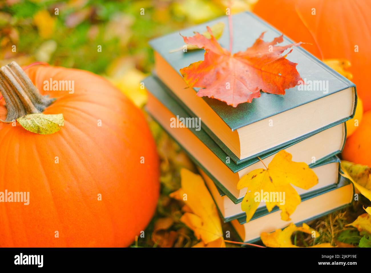 back to school.Study and education concept.Halloween books. Autumn ...