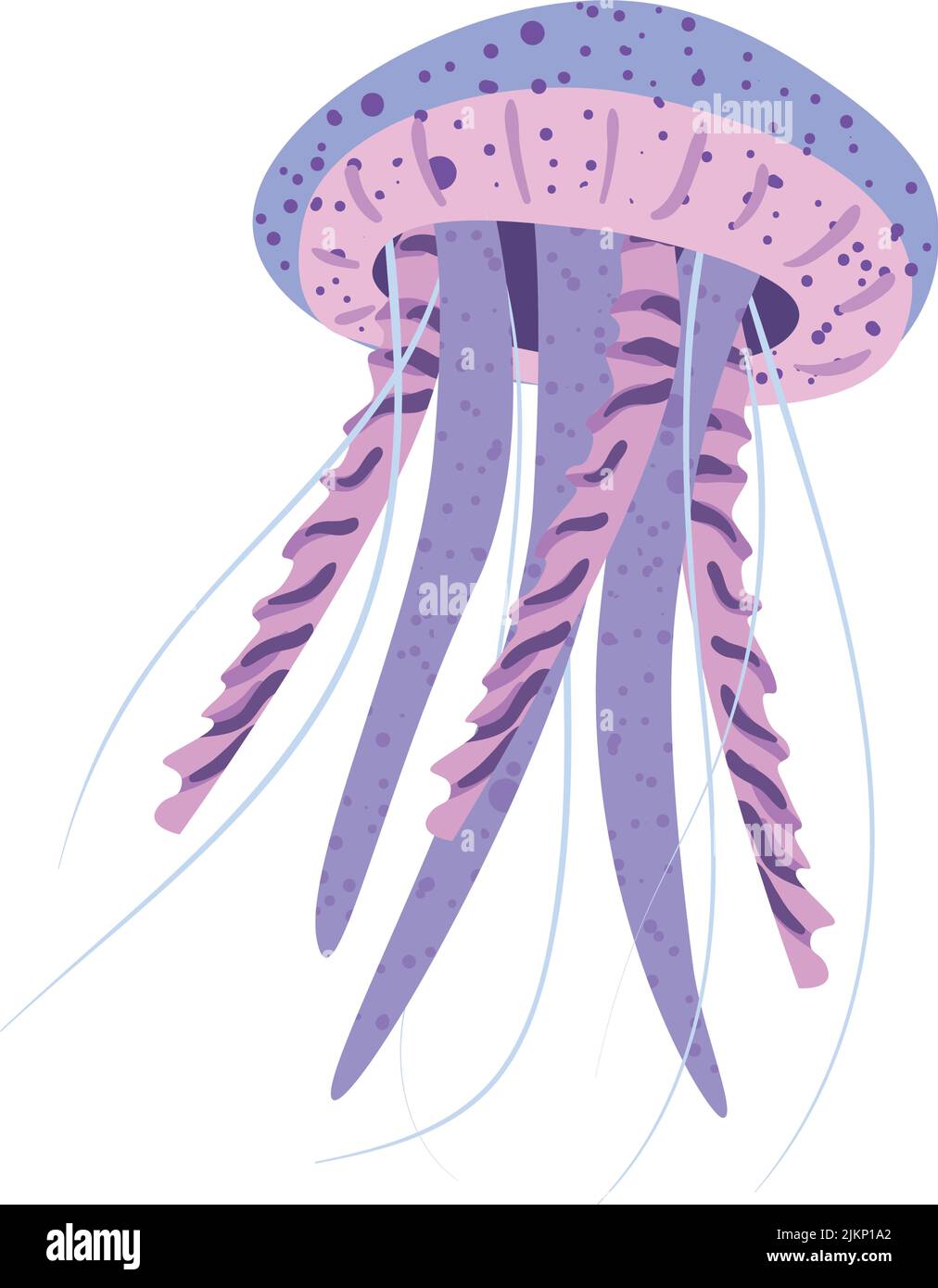 flat jellyfish design Stock Vector Image & Art - Alamy