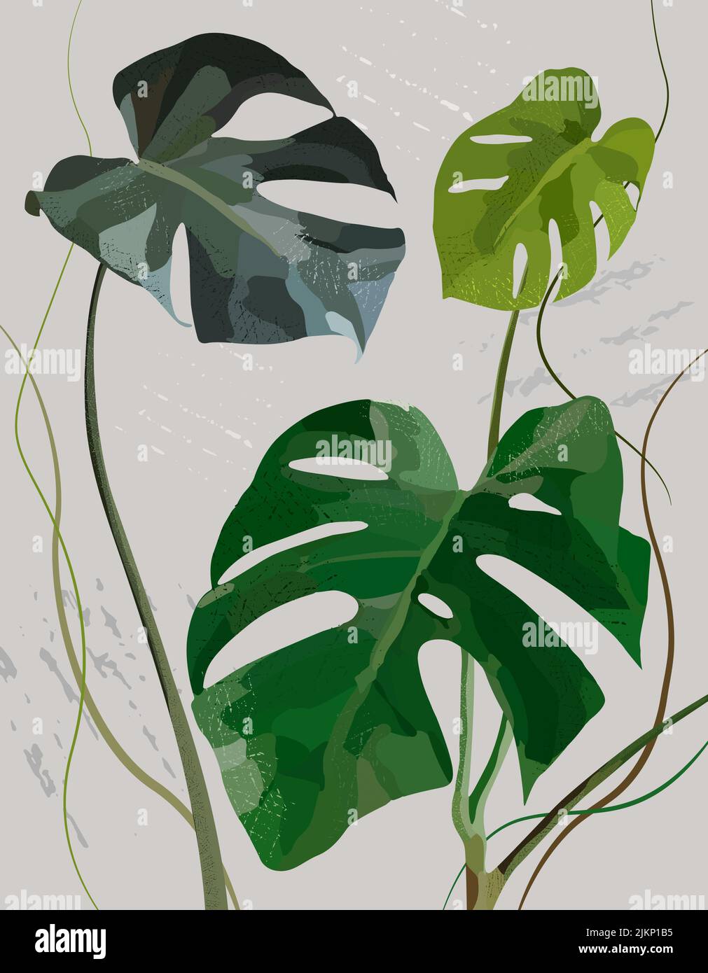 Floral stylish art with tropical monstera leaves Stock Vector Image ...