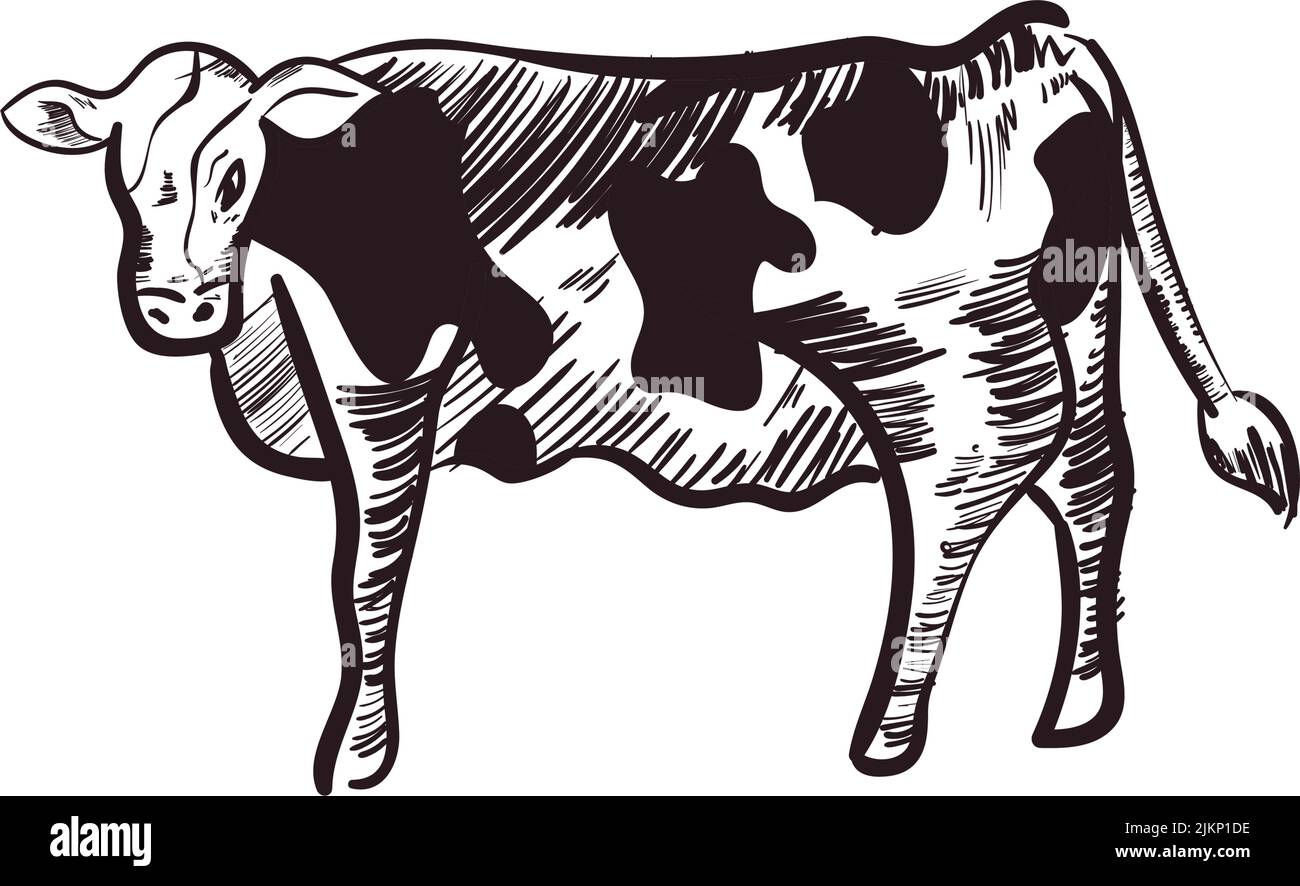 flat cow design Stock Vector Image & Art - Alamy