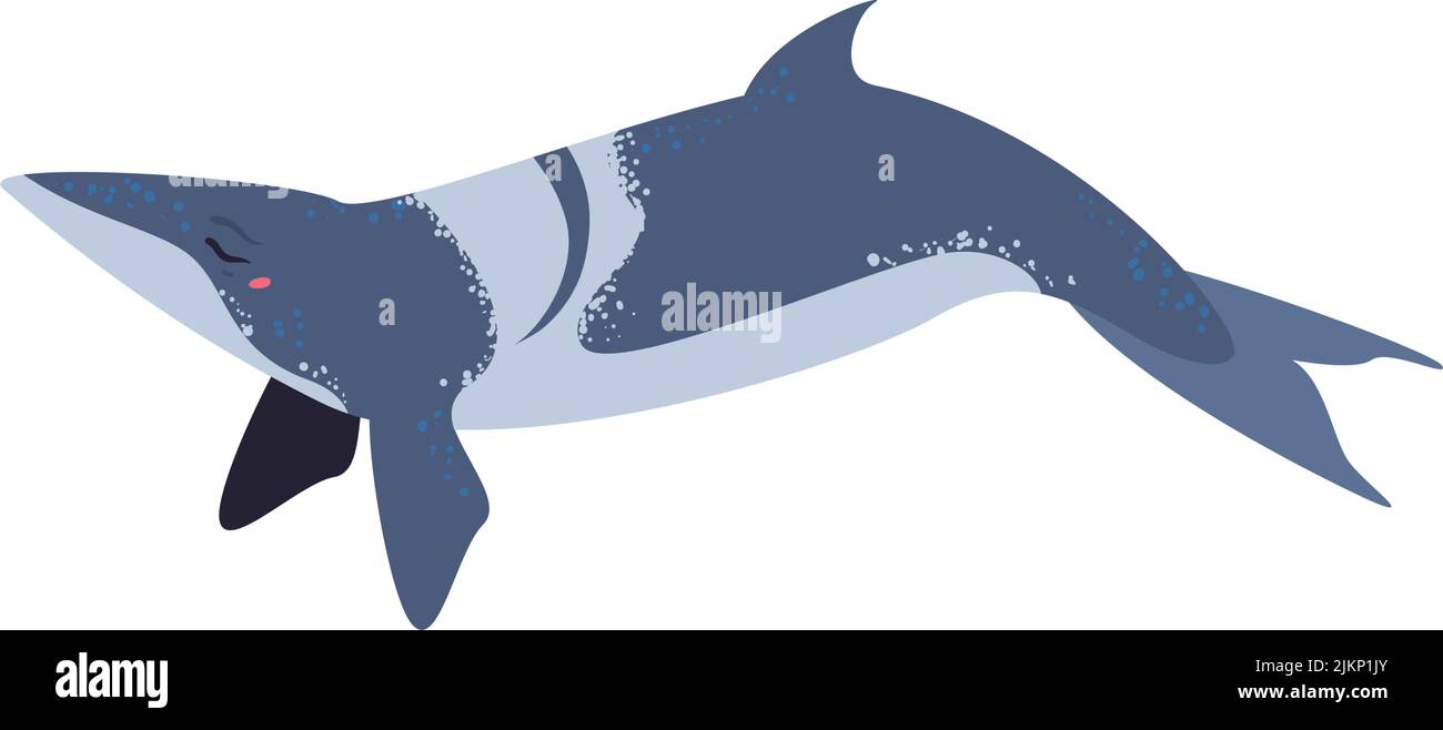 flat whale design Stock Vector Image & Art - Alamy