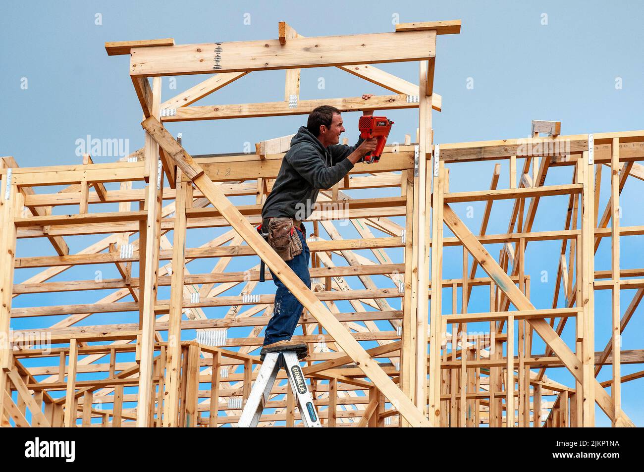 Carpenter constructing a timber framed house in South Australia Stock ...