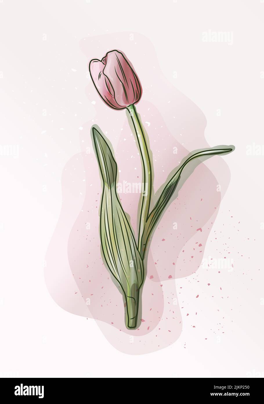 Modern pink gift card Stock Vector Images - Alamy