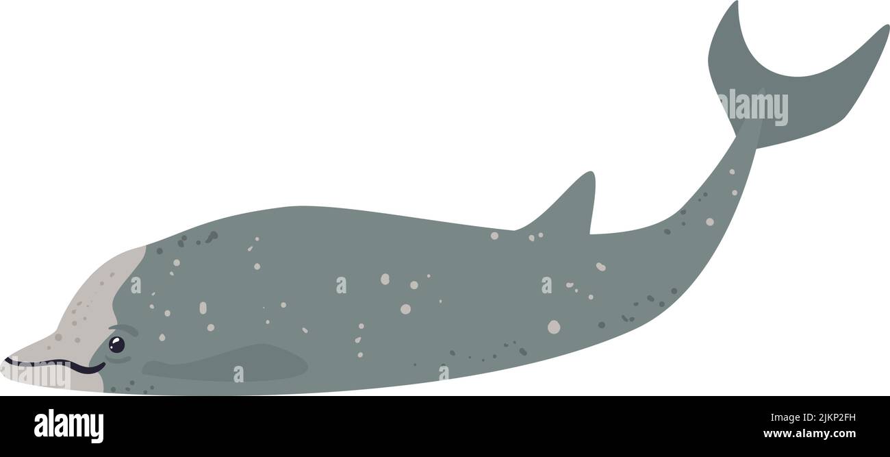 flat whale illustration Stock Vector Image & Art - Alamy