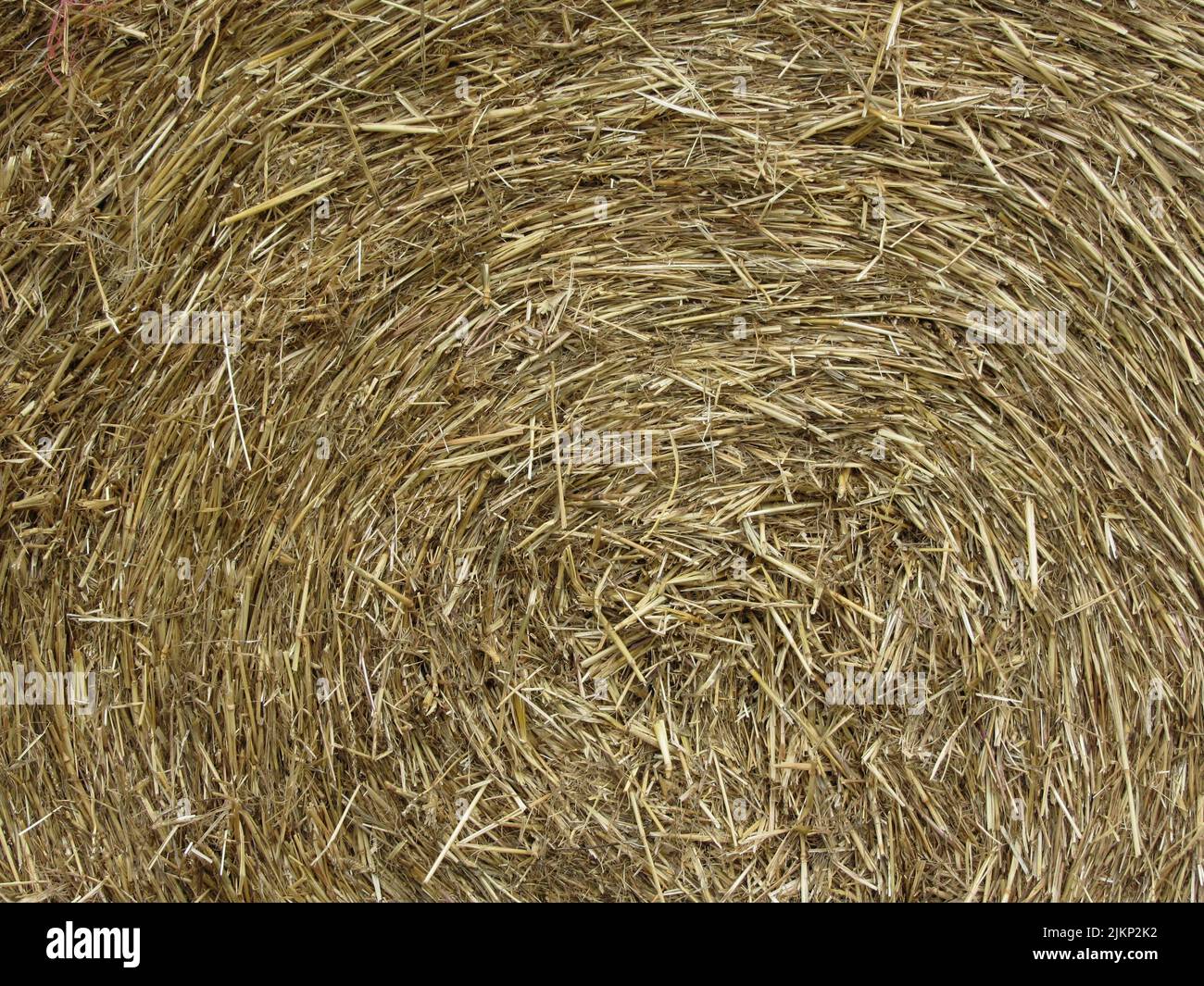 Big roll of hay background Stock Photo - Alamy