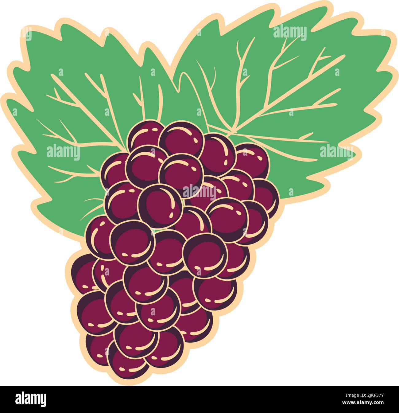 flat grapes design Stock Vector Image & Art - Alamy