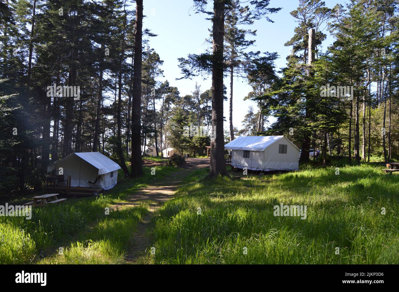 Buildings in the forest hi-res stock photography and images - Alamy