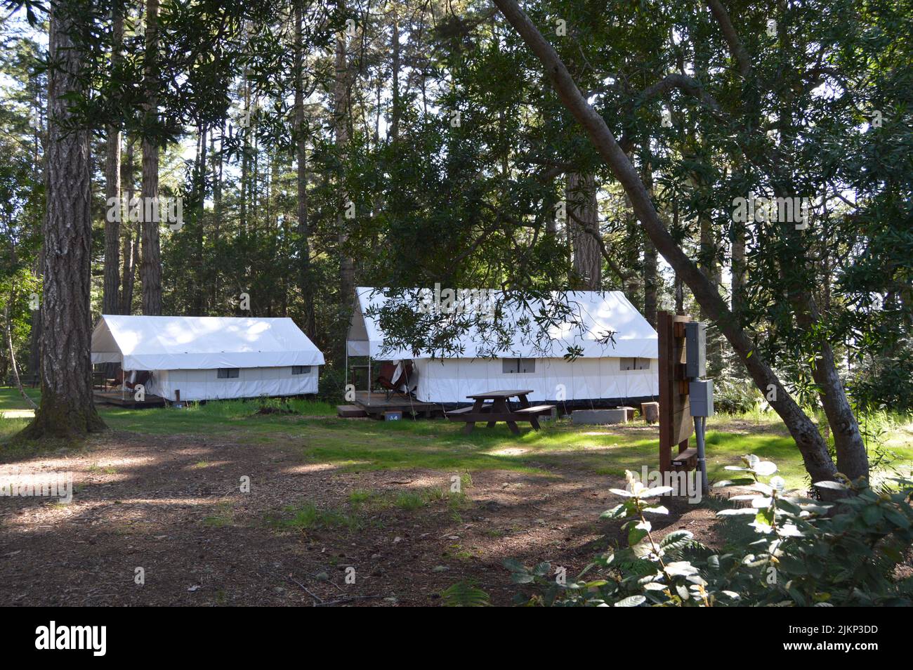 Buildings in the forest hi-res stock photography and images - Alamy