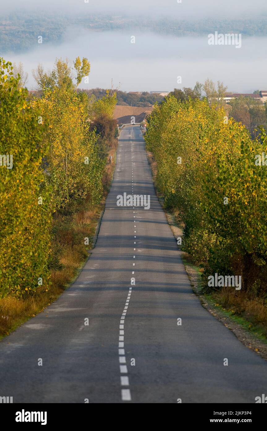 An inclination road between trees in Extremadura, Spain Stock Photo - Alamy