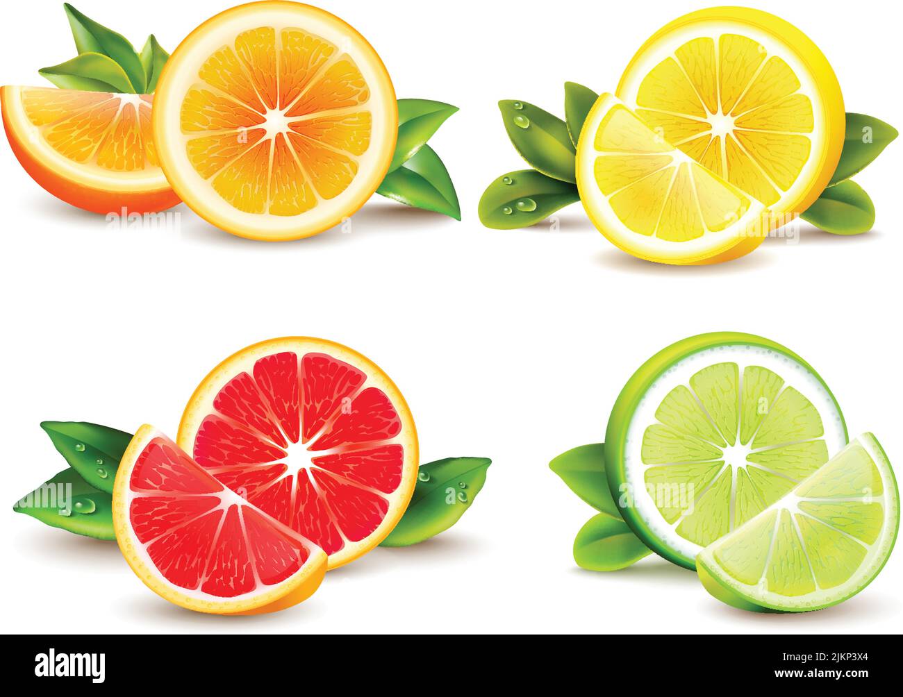Citrus fruits halves and quarter wedges 4 realistic icons square with ...