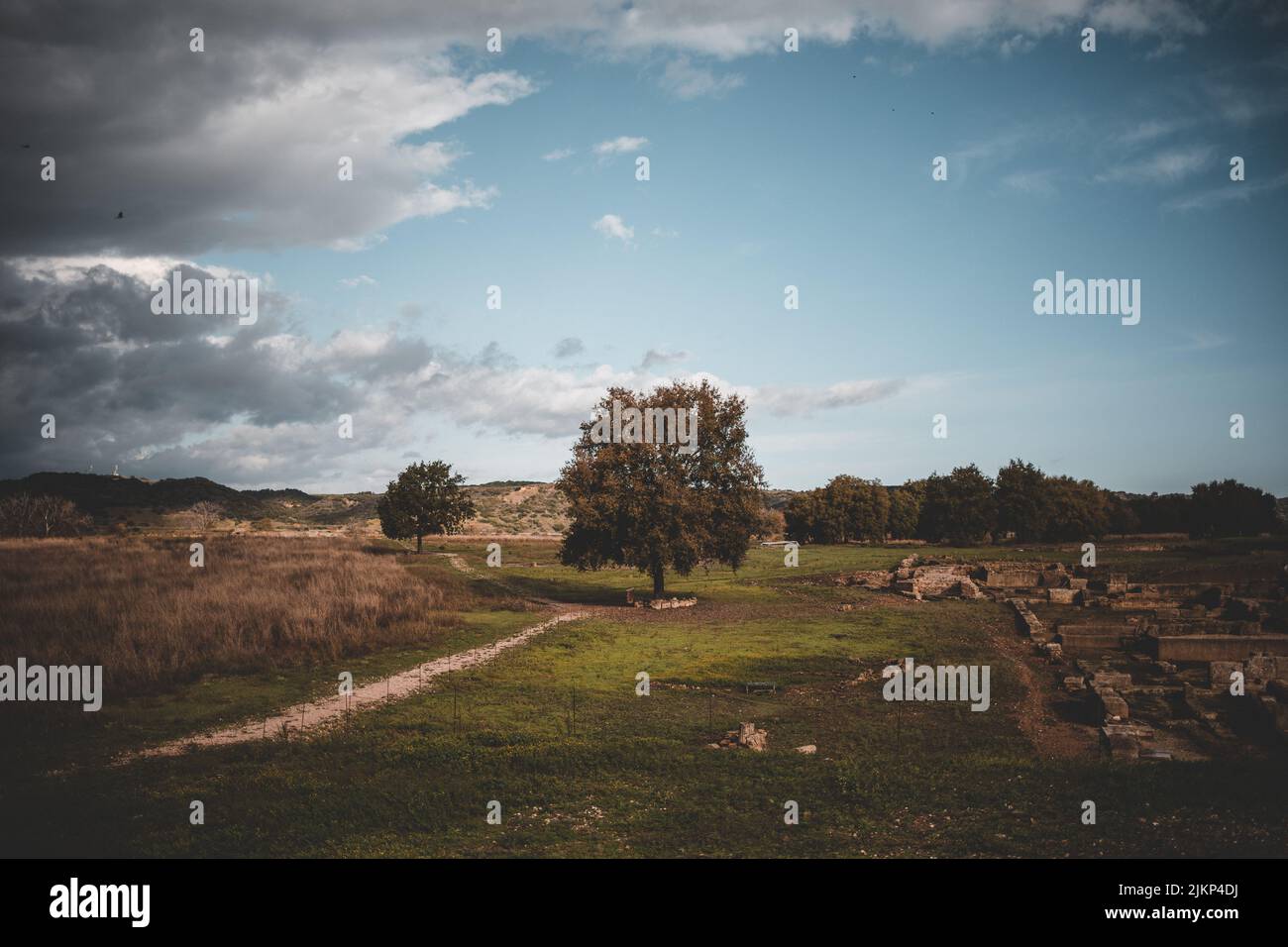 Some trees and old ruins in a field of grass in Greece with a blue ...