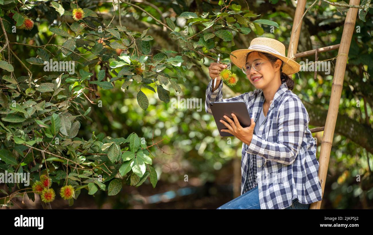 Asian farmer female hi-res stock photography and images - Alamy