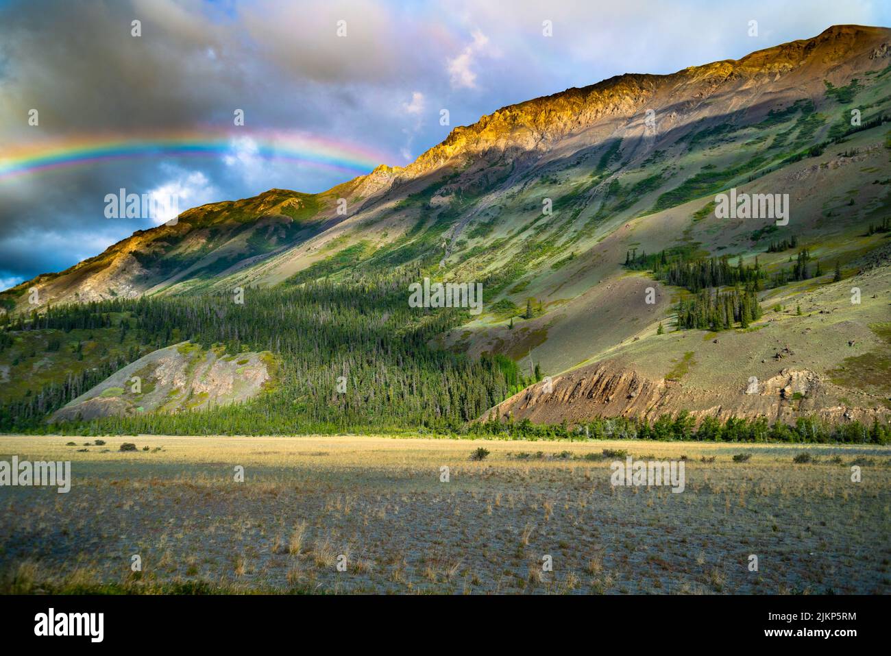 Summer in yukon hi-res stock photography and images - Alamy Summer in yukon hi-res stock photography and images - Alamy