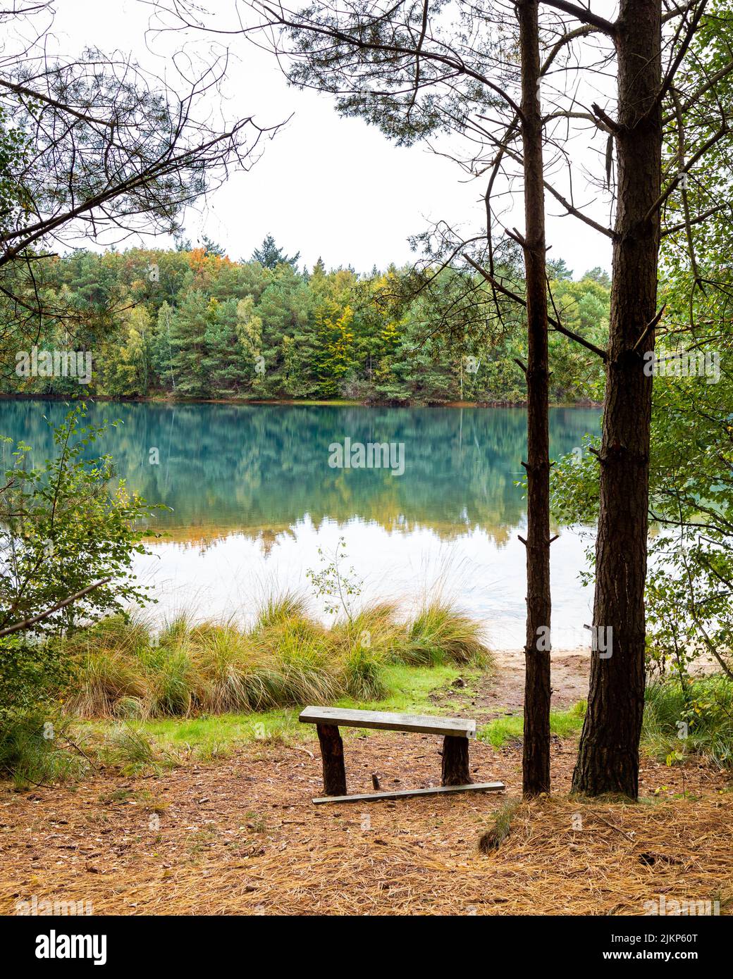 A vertical shot of a reflective lake surrounded by dense trees under ...