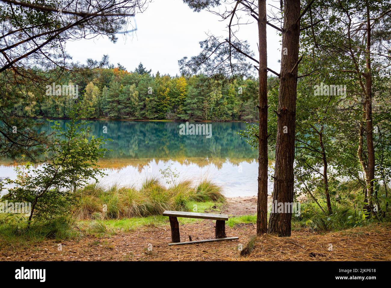 Clear lake surrounded by trees hi-res stock photography and images - Alamy