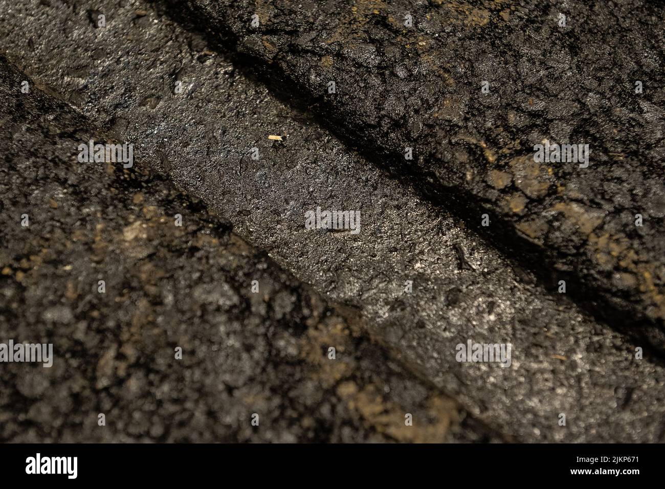 Kassel, Germany. 26th July, 2022. A rut caused by heat is seen on an ...