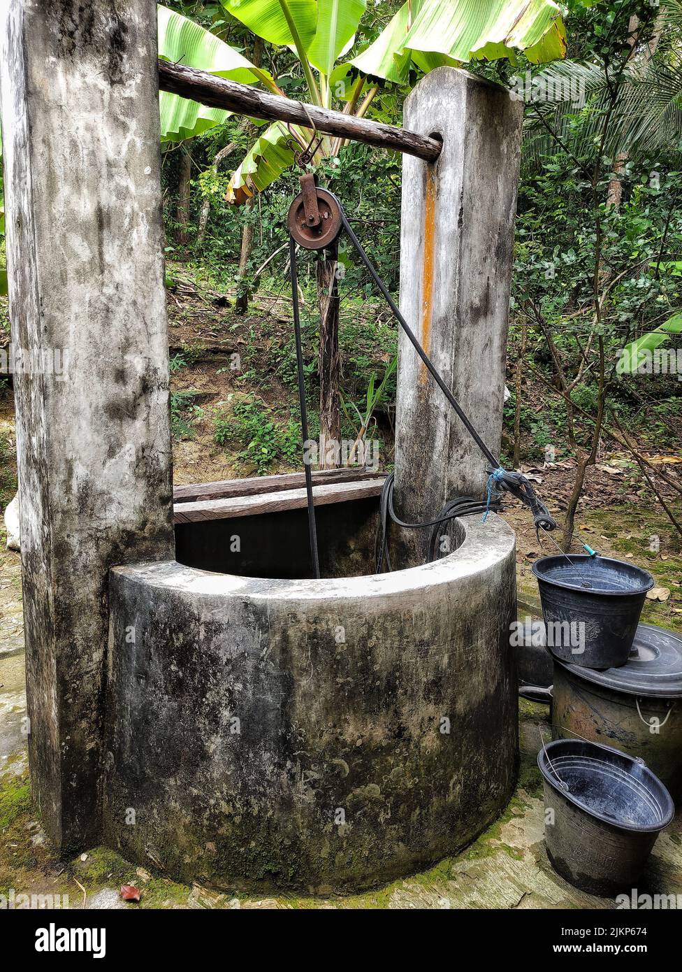 A vertical shot of an old well with buckets surrounded by greenery ...