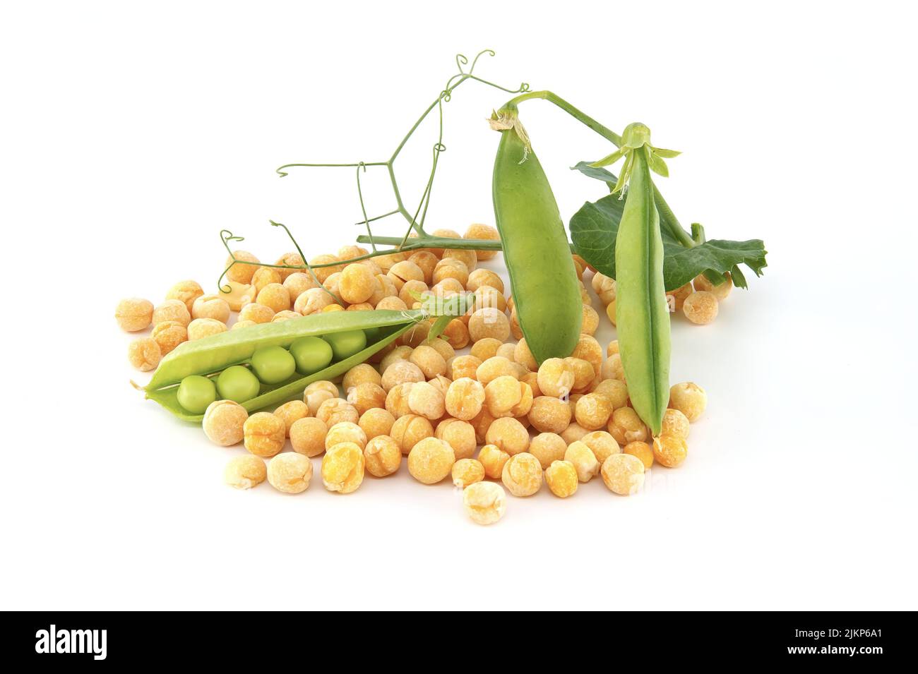 Whole dry yellow peas and fresh plant with pea pods over white ...