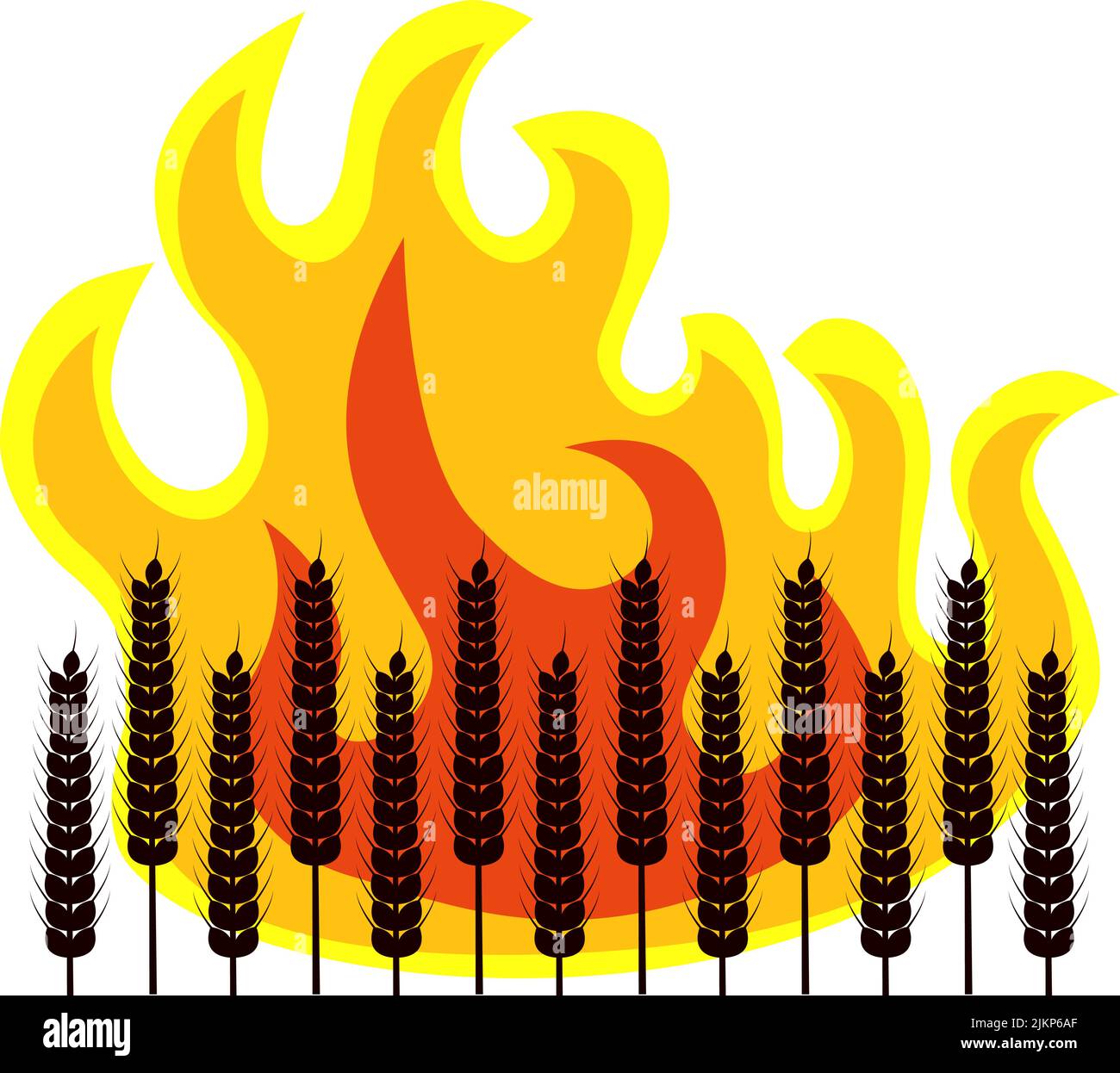 Burning wheat. Fire in the wheat field. Ecological catastrophy Stock ...