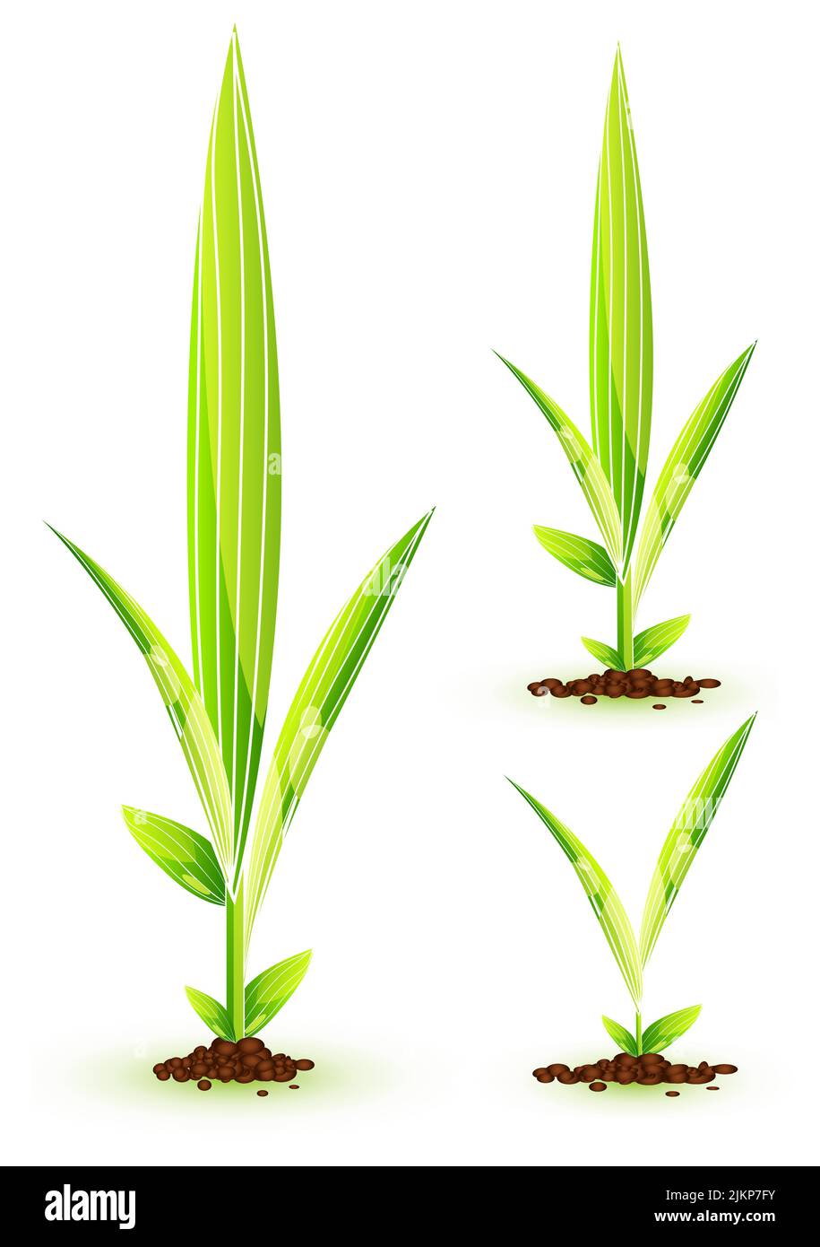 Abstract green nature eco concept Stock Vector Image & Art - Alamy