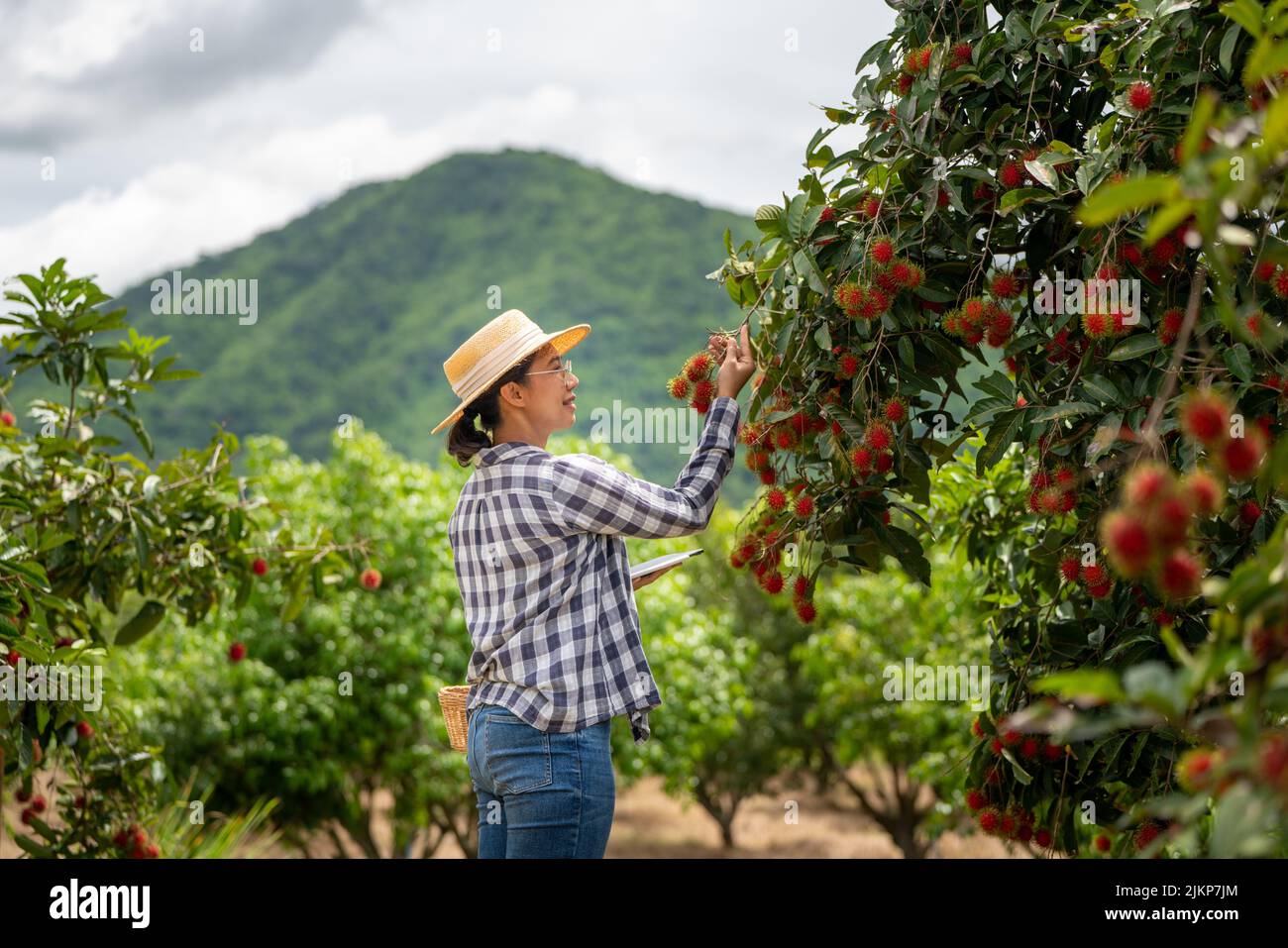 Fresh from farmer hi-res stock photography and images - Alamy