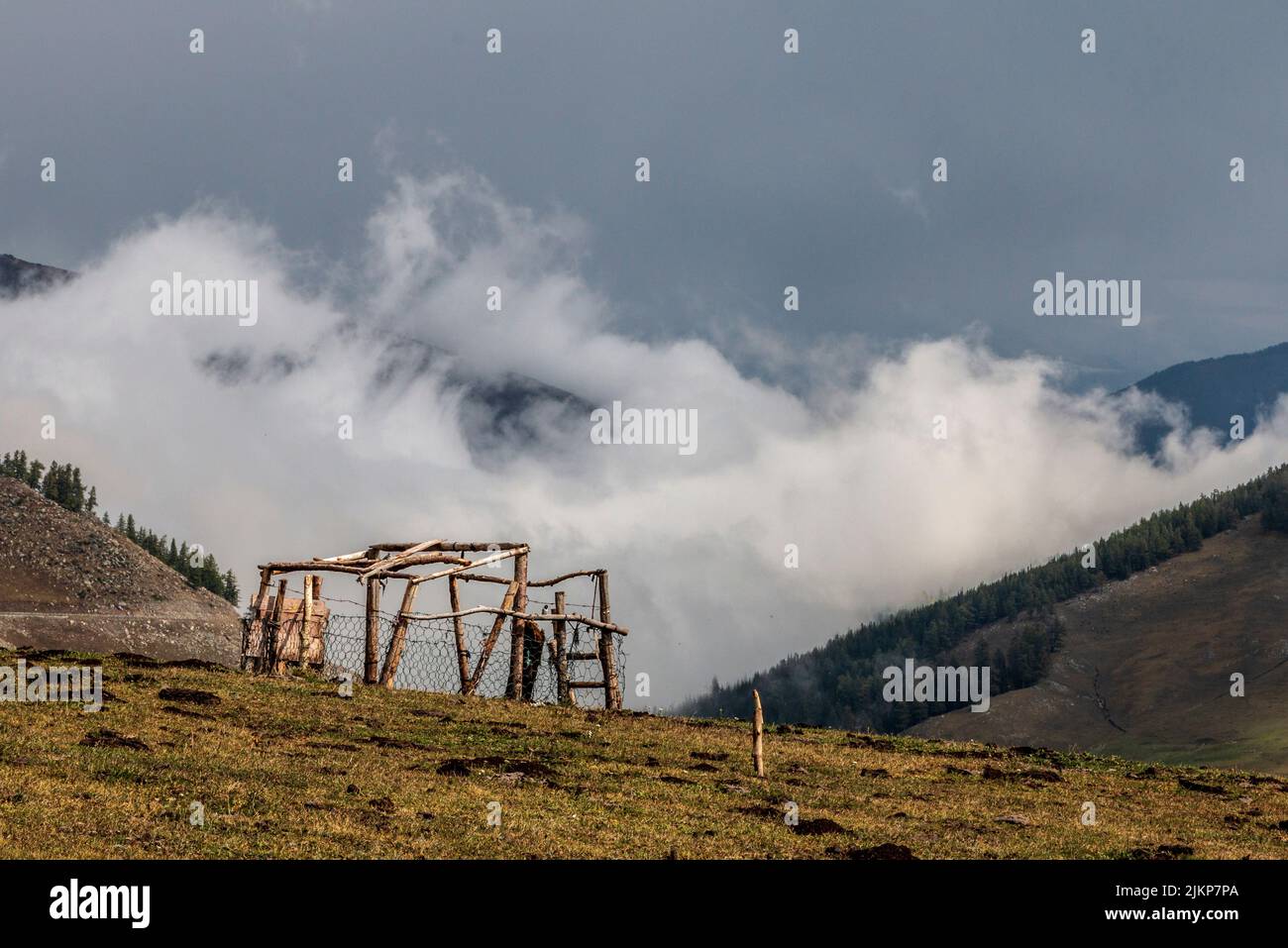 Low mountain forest hi-res stock photography and images - Alamy