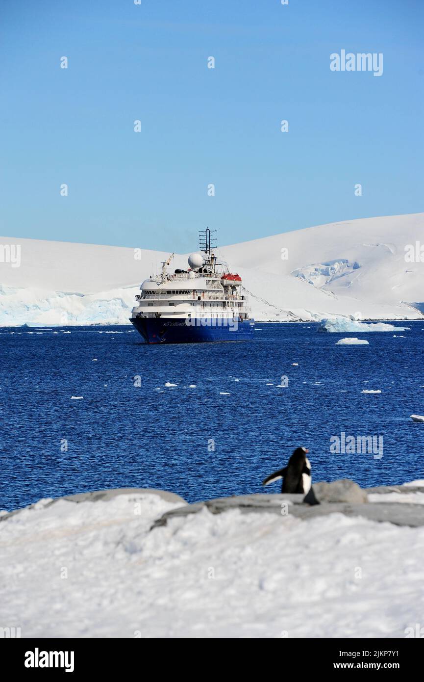 A view of a ship at sea and Gentoo penguin in Antarctica under blue sky ...