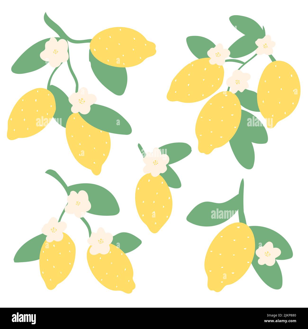 Lemon flowers and fruits exotic tropical set Stock Vector Image & Art ...