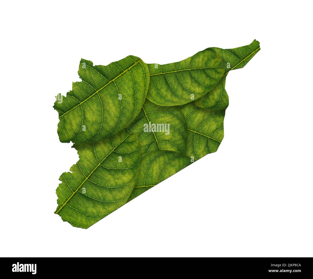 Syria map made of green leaves on White isolated background Stock Photo ...