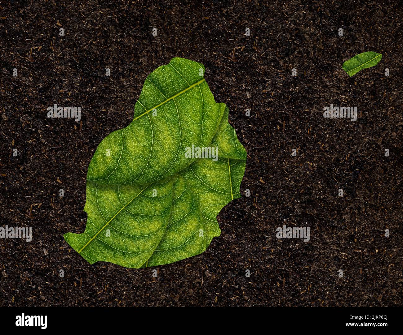 Mauritius map made of green leaves on soil background ecology concept ...