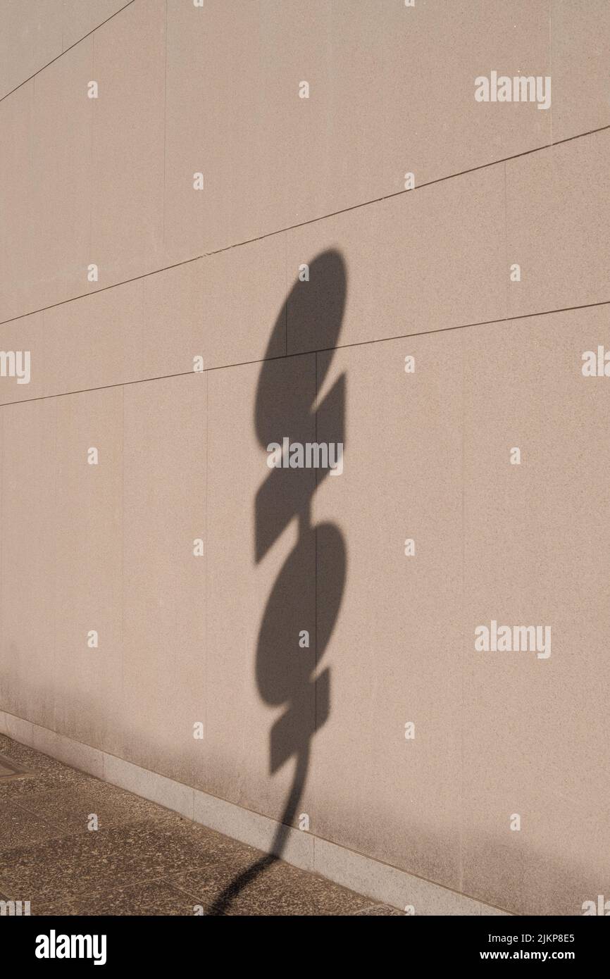 A reflection of circle and rectangle shaped road signs on a wall Stock ...