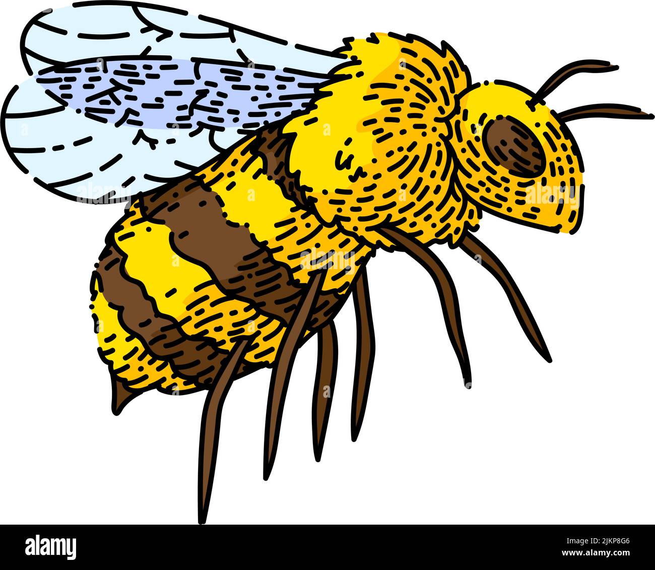 bee honey sketch hand drawn vector Stock Vector Image & Art - Alamy bee honey sketch hand drawn vector Stock Vector Image & Art - Alamy