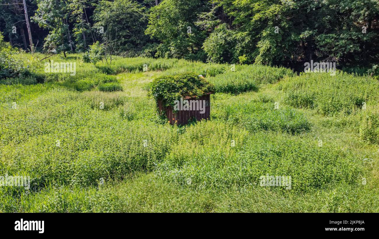 Wooden house on grass hi-res stock photography and images - Alamy