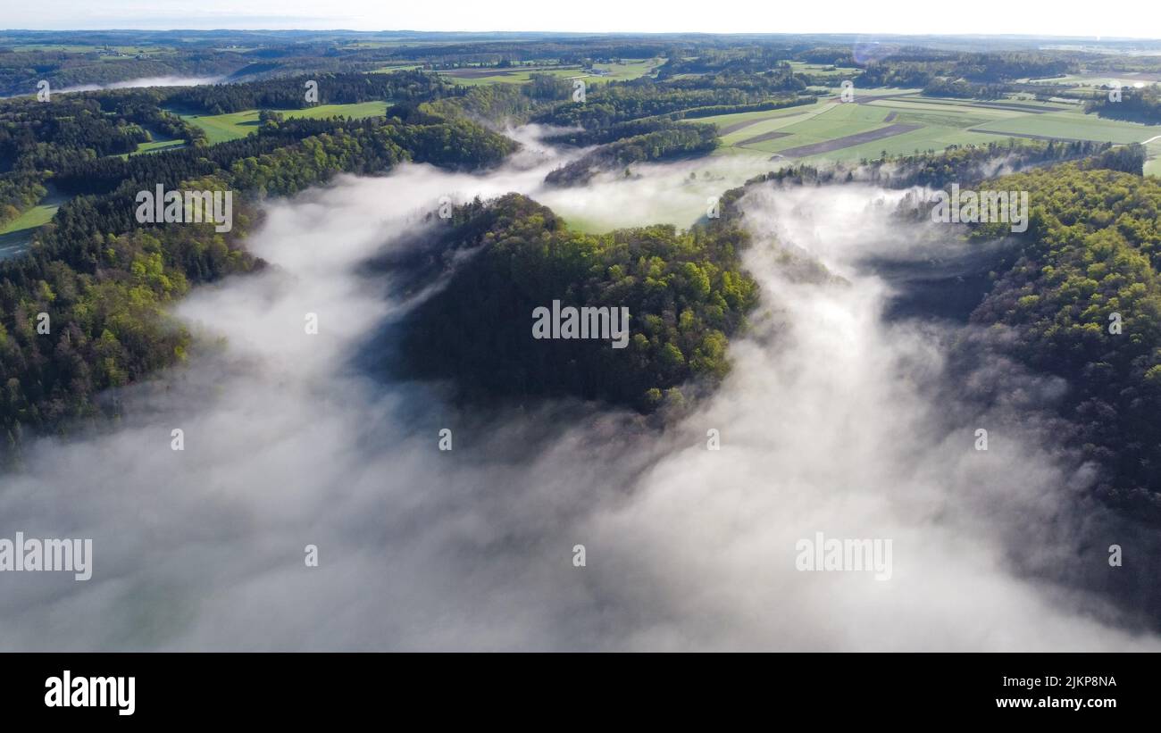 A scenic view of a fog above a green field surrounded with trees Stock ...