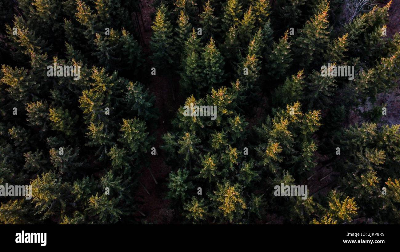 Aerial environment hi-res stock photography and images - Alamy