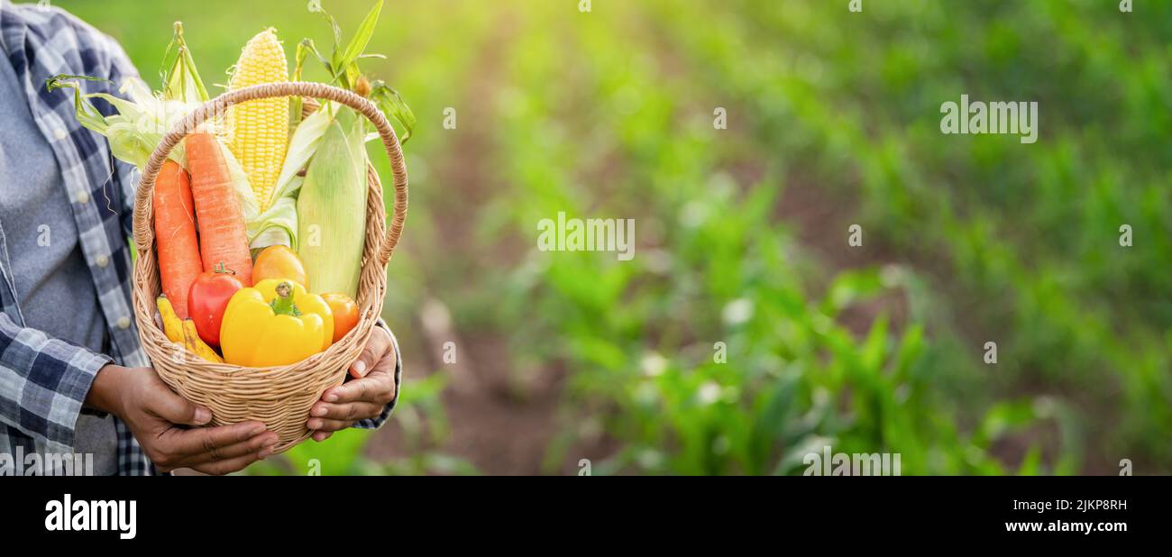 Beautiful young brunette Portrait Famer Woman hand holding Vegetables ...