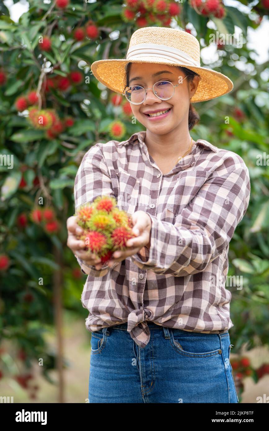 Asia Woman farmer Rambutan Farmer, female farmer holding pile of ...