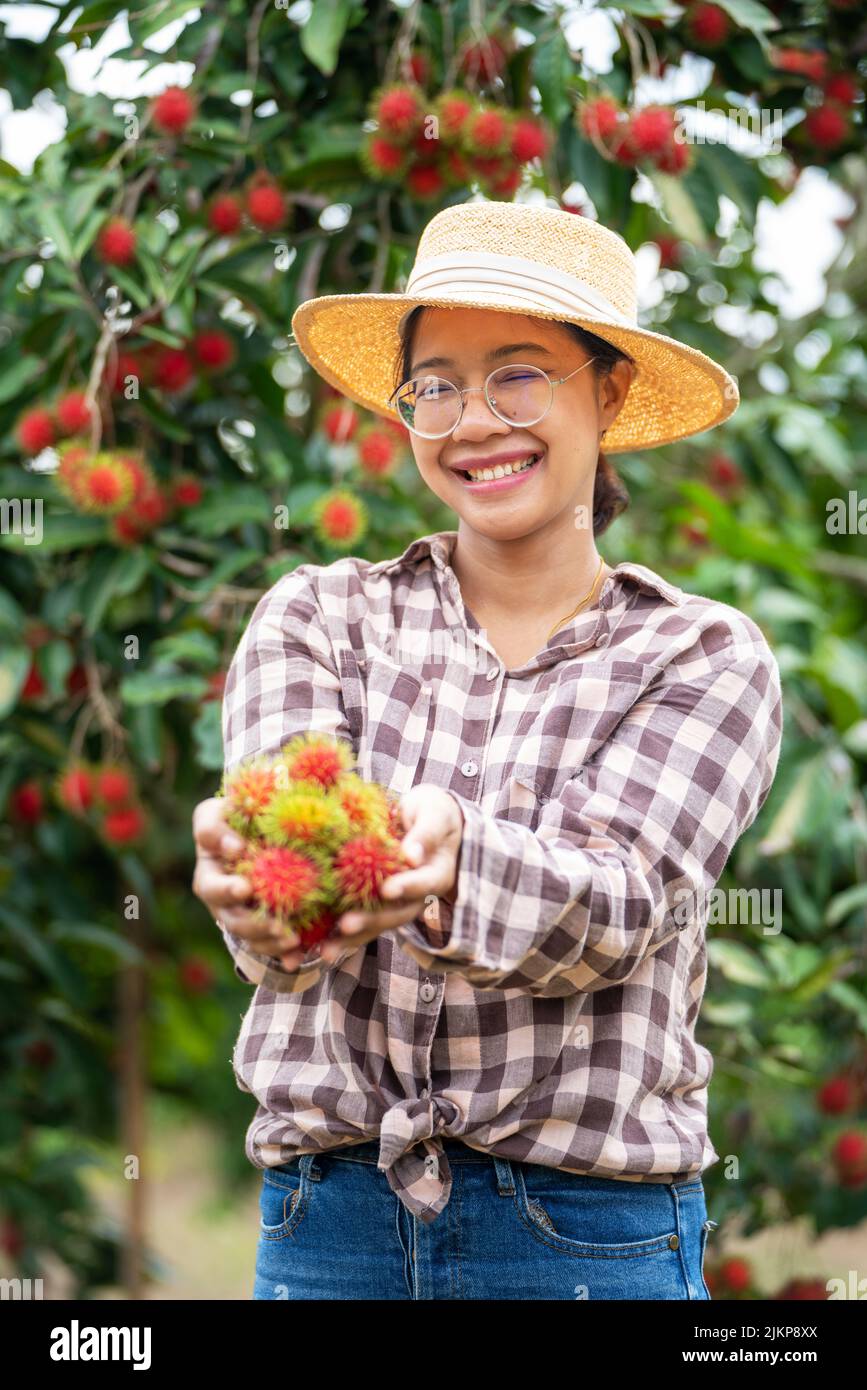 Asia Woman farmer Rambutan Farmer, female farmer holding pile of ...