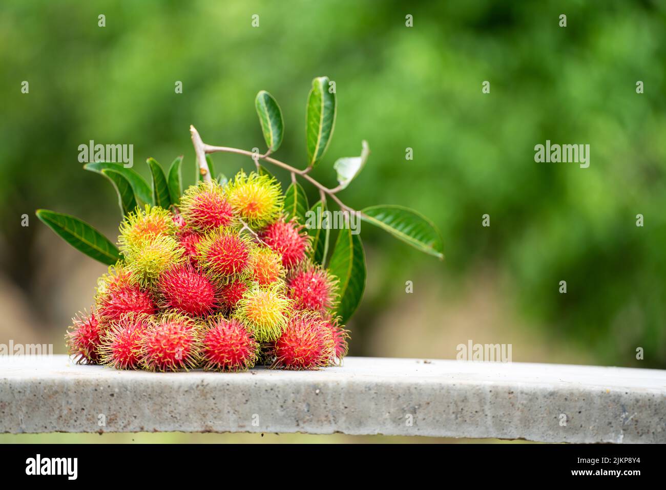 The Pile of Rambutan sweet delicious fruit with Leaf on green jungles ...