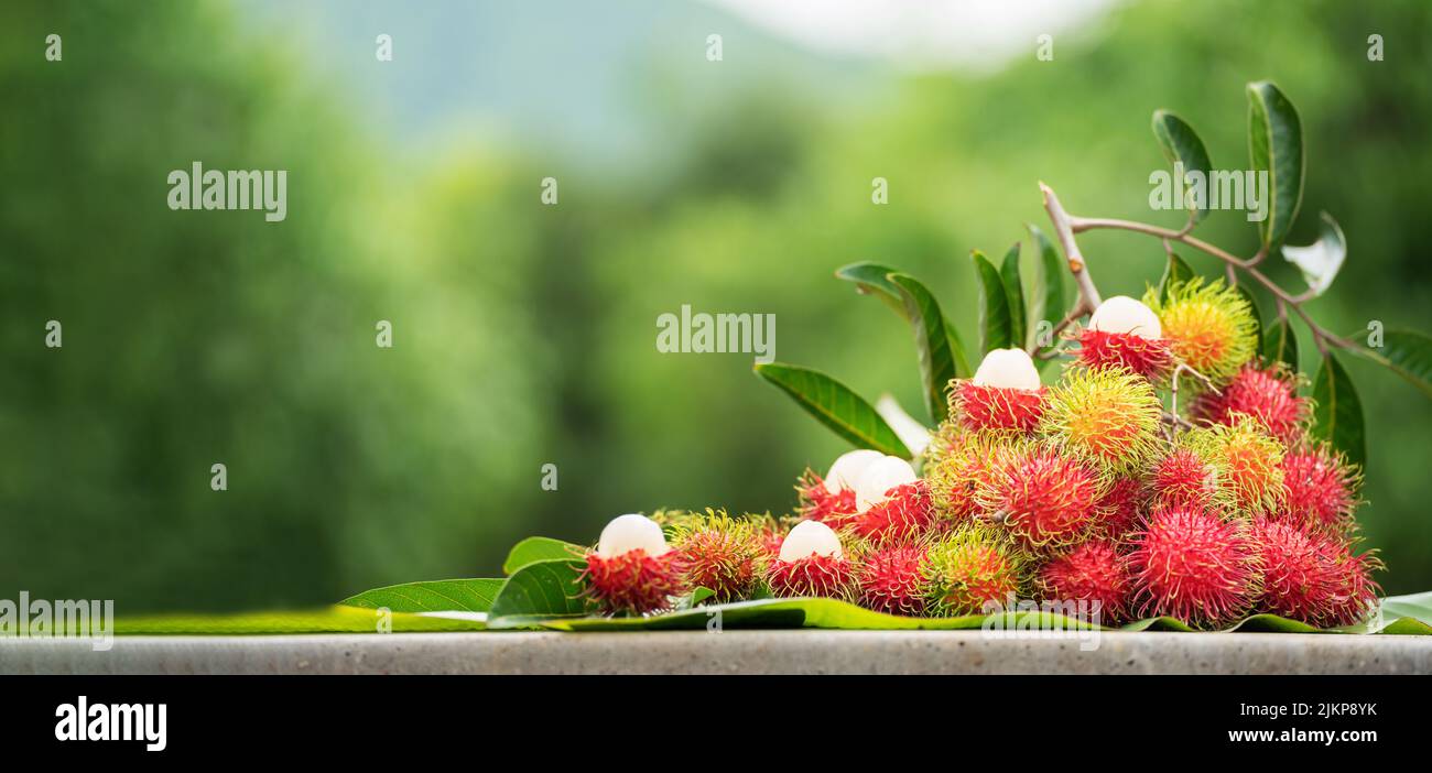 The Pile of Rambutan sweet delicious fruit with Leaf on green jungles ...